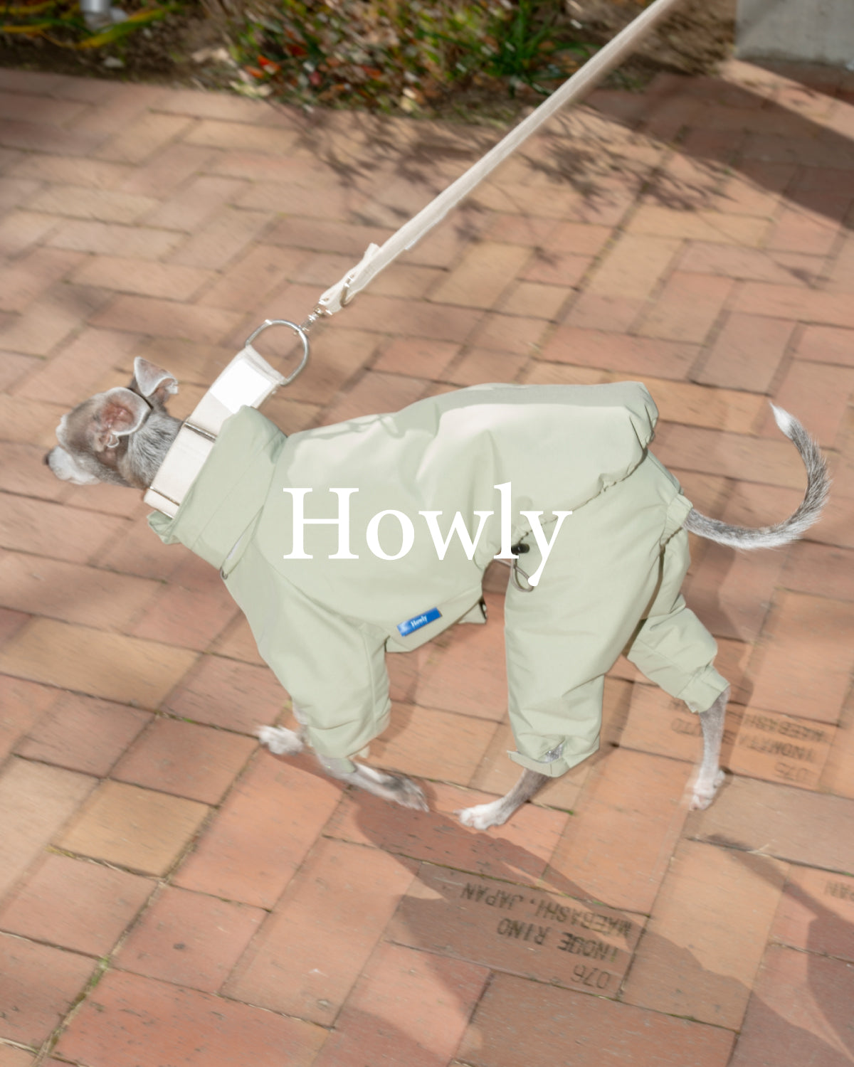 Howly Official Online Shop