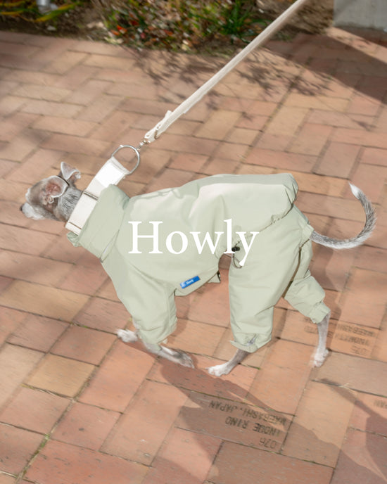 Howly Official Online Shop