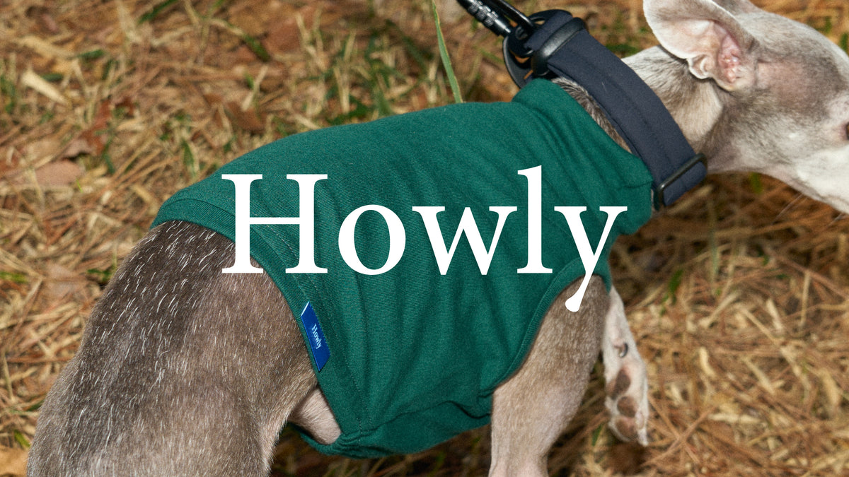 Howly