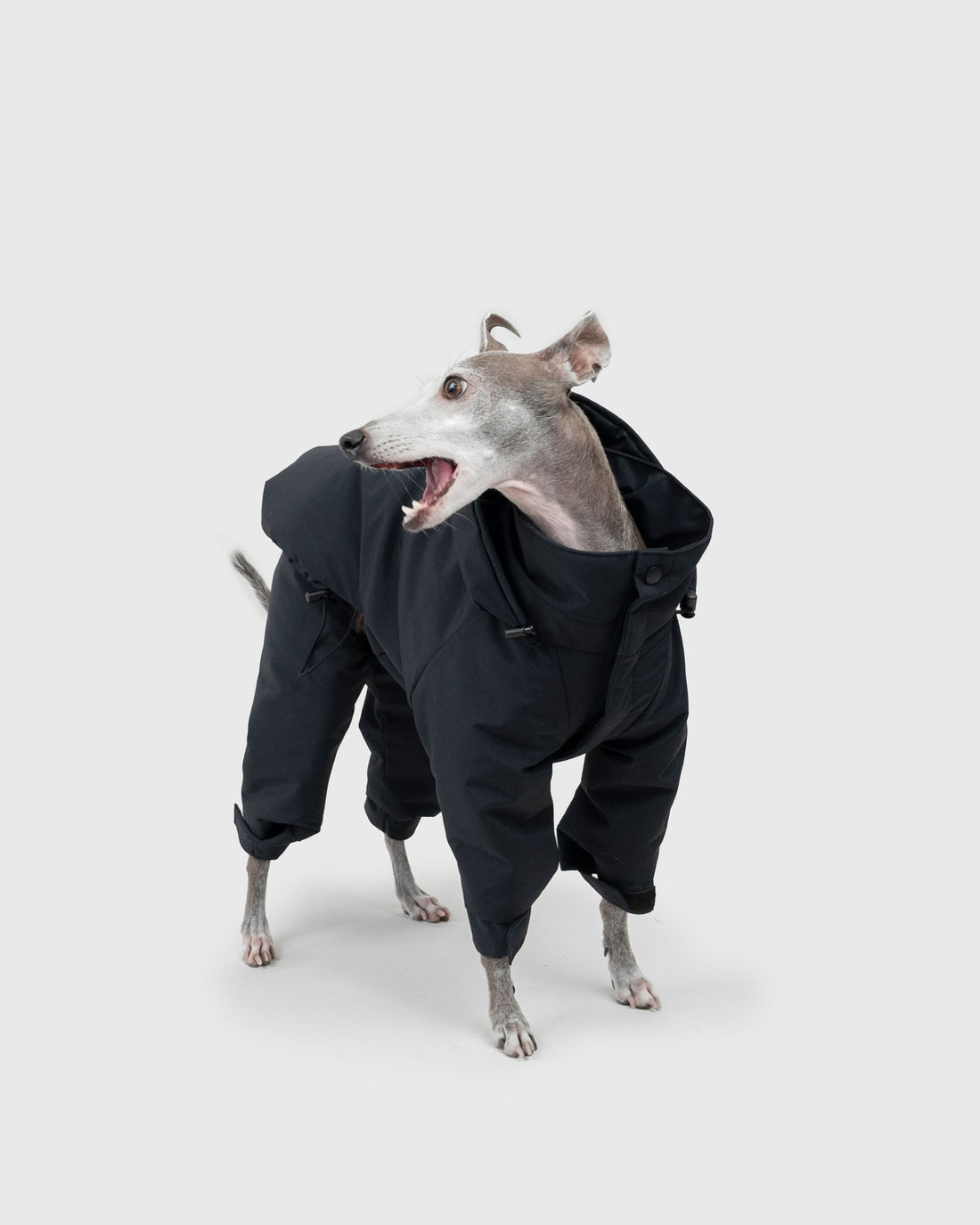 Howly Official Online Shop