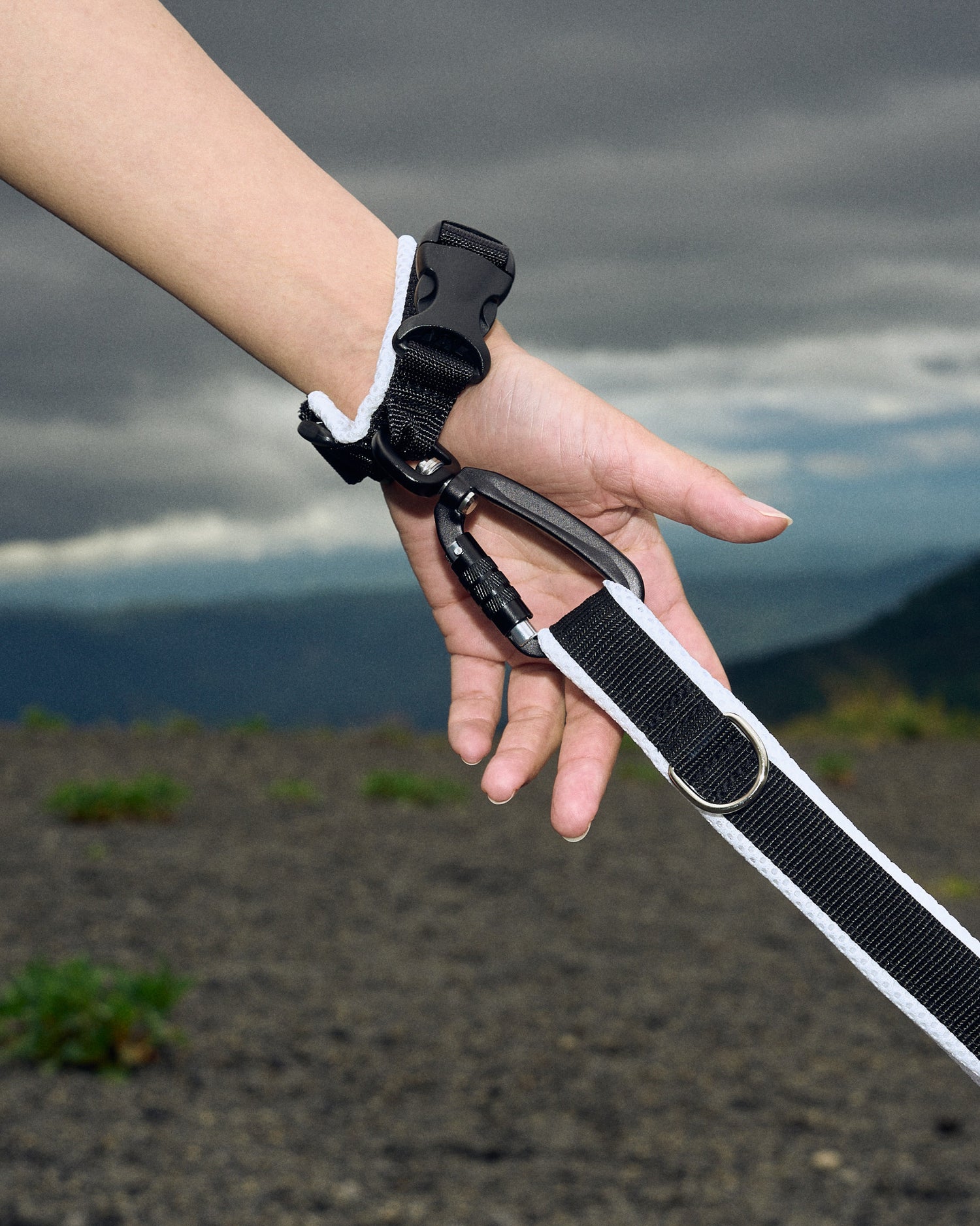 Howly Official Online Shop