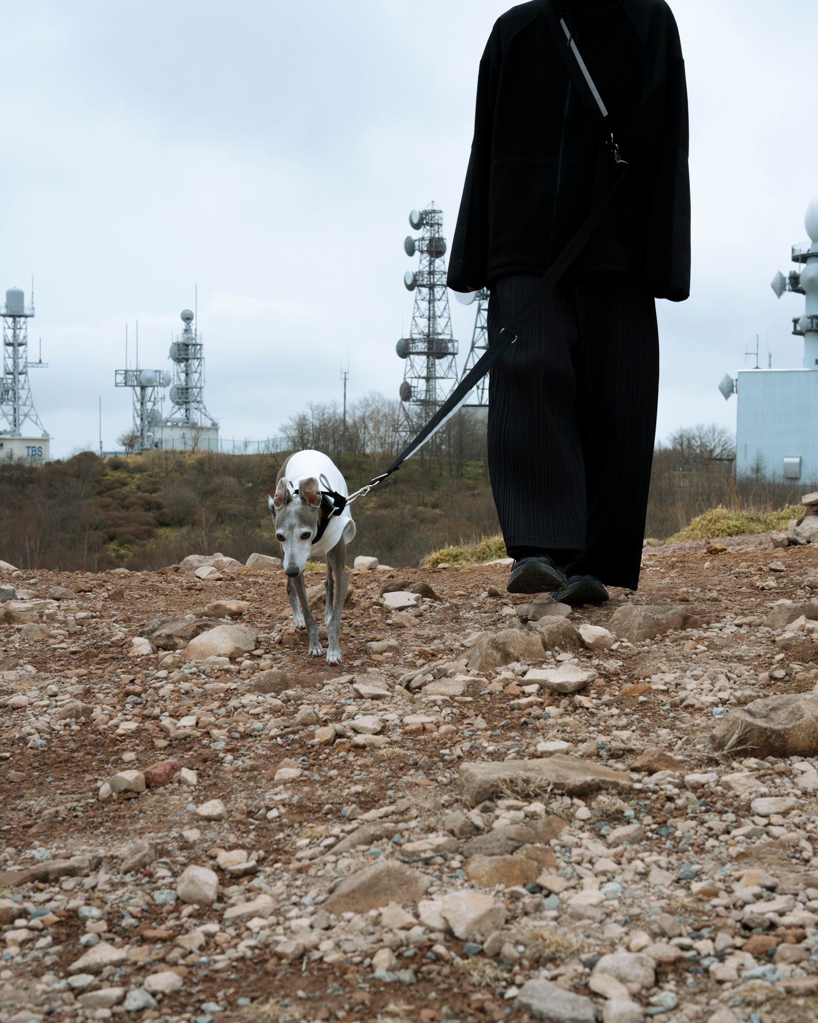 Howly Official Online Shop