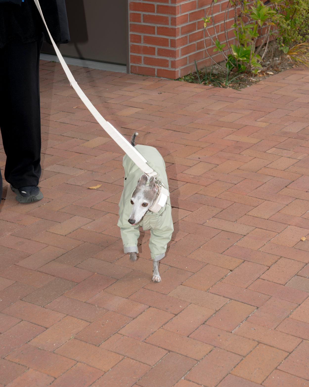 Howly Official Online Shop