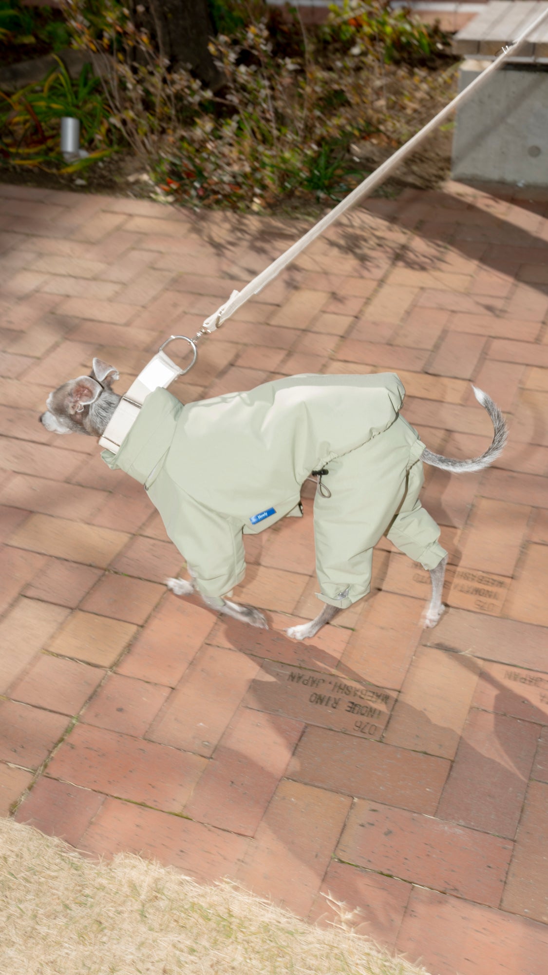 Howly Official Online Shop