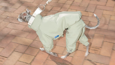 Howly Official Online Shop