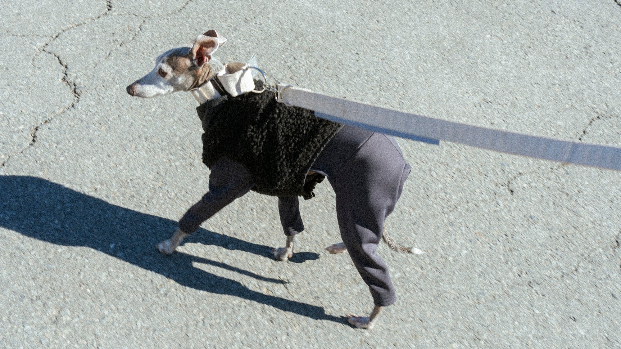 Howly Official Online Shop