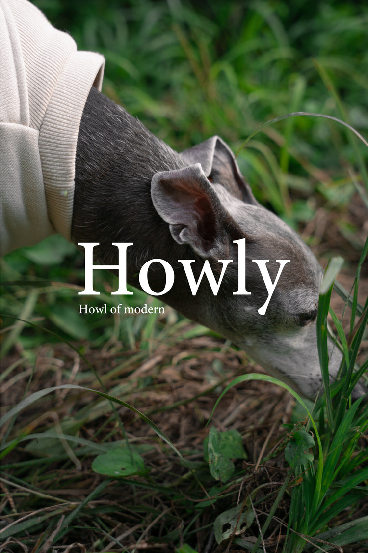 Howly Official Online Shop