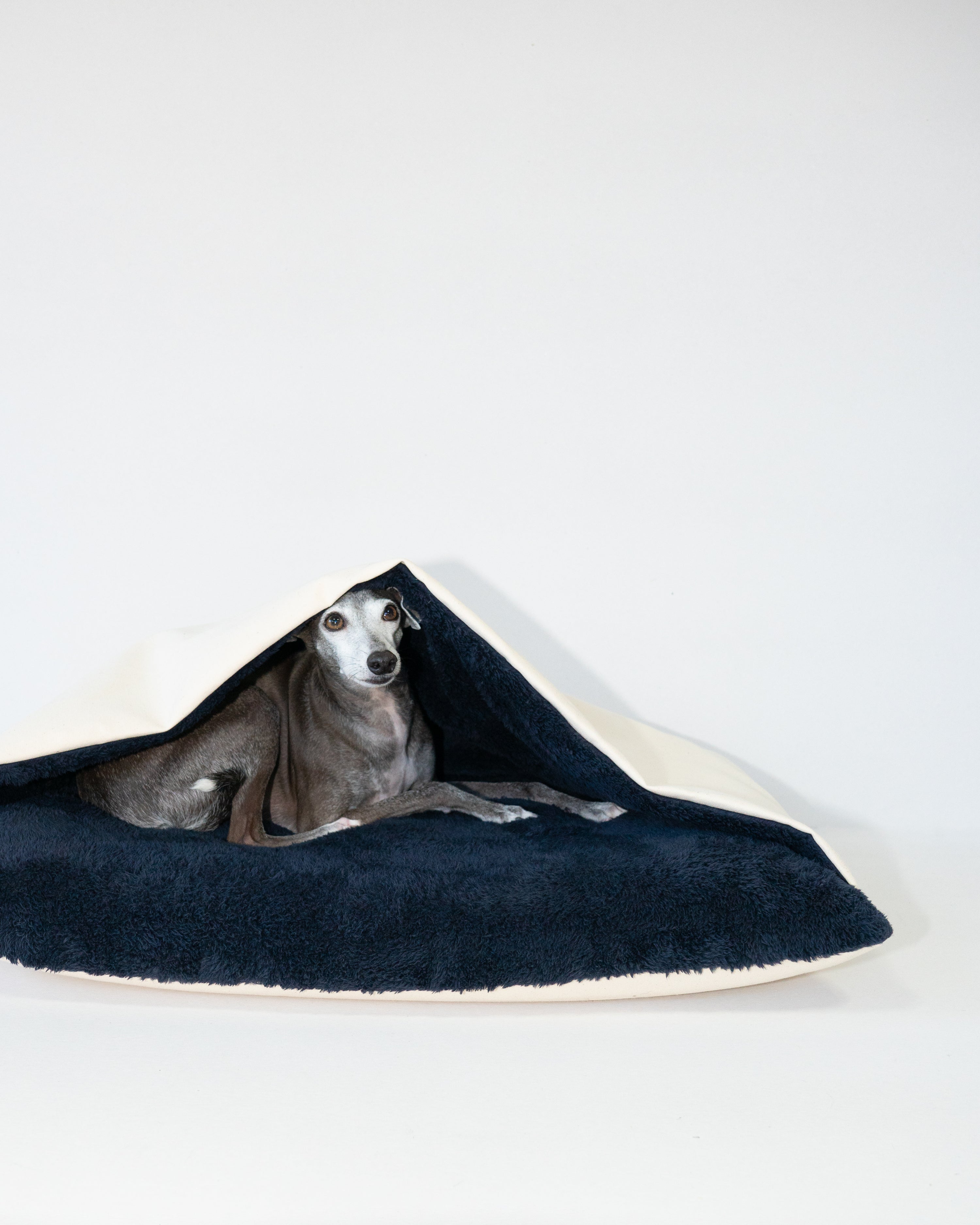 Howly Official Online Shop