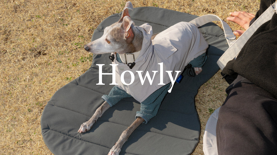 Howly Official Online Shop