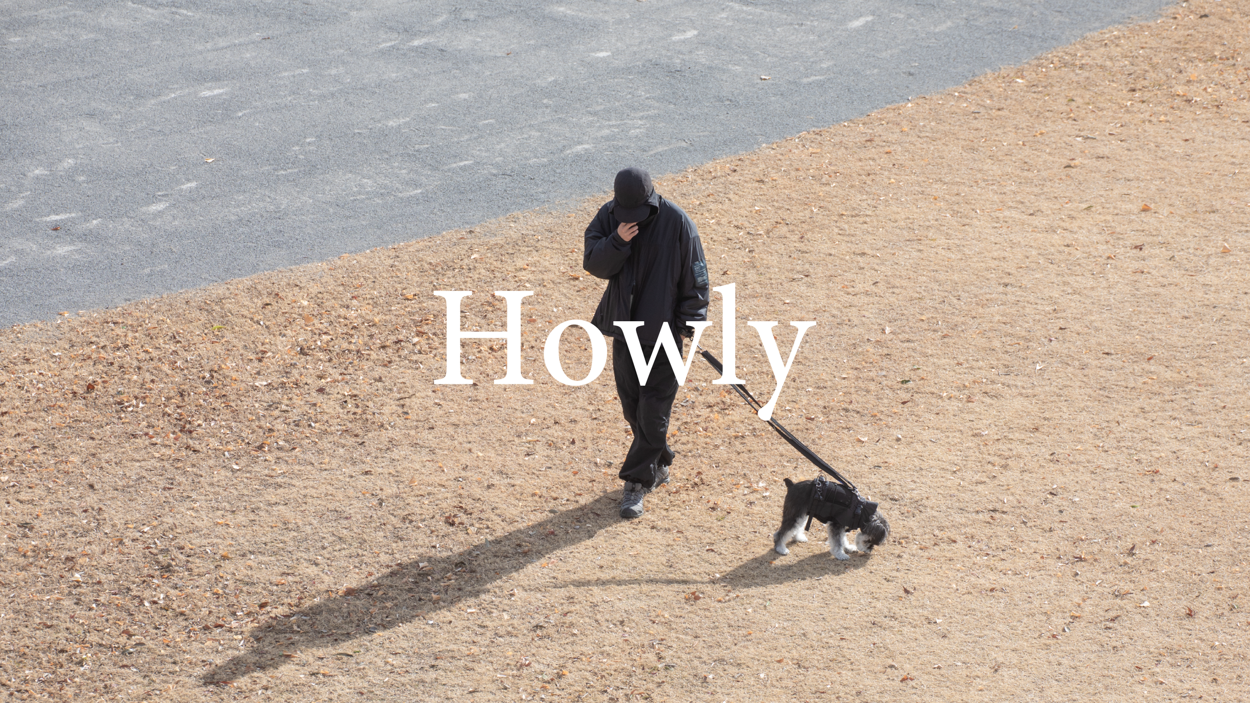 Howly