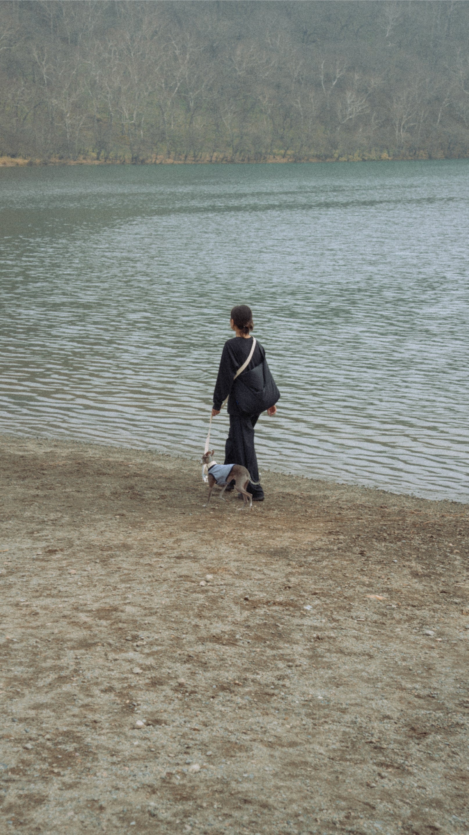 Howly Official Online Shop