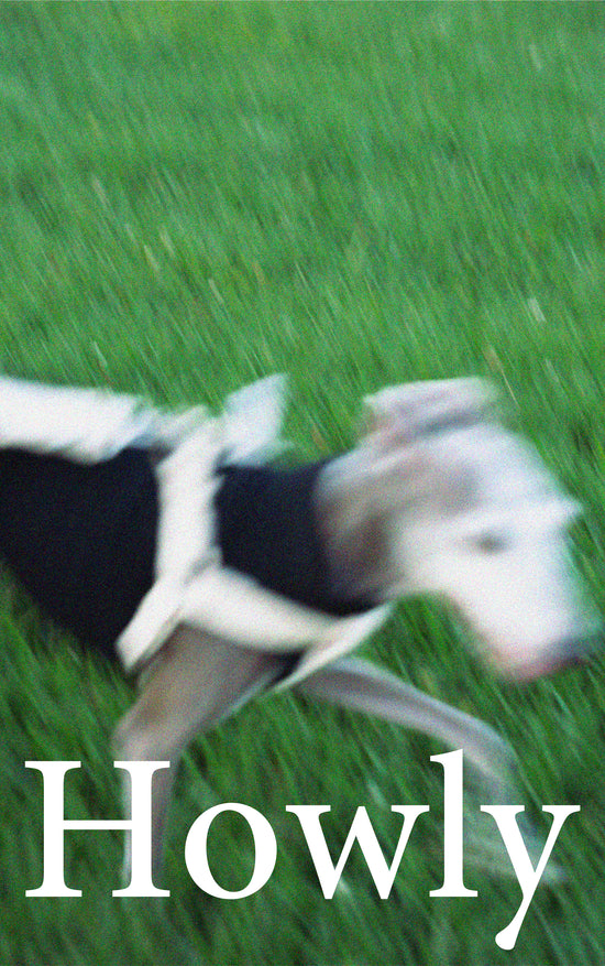 Howly Official Online Shop