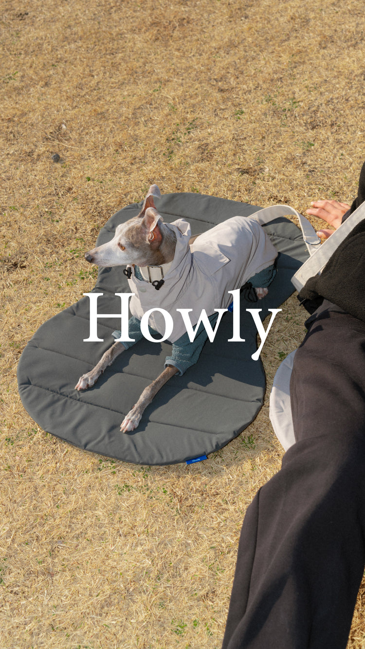 Howly Official Online Shop