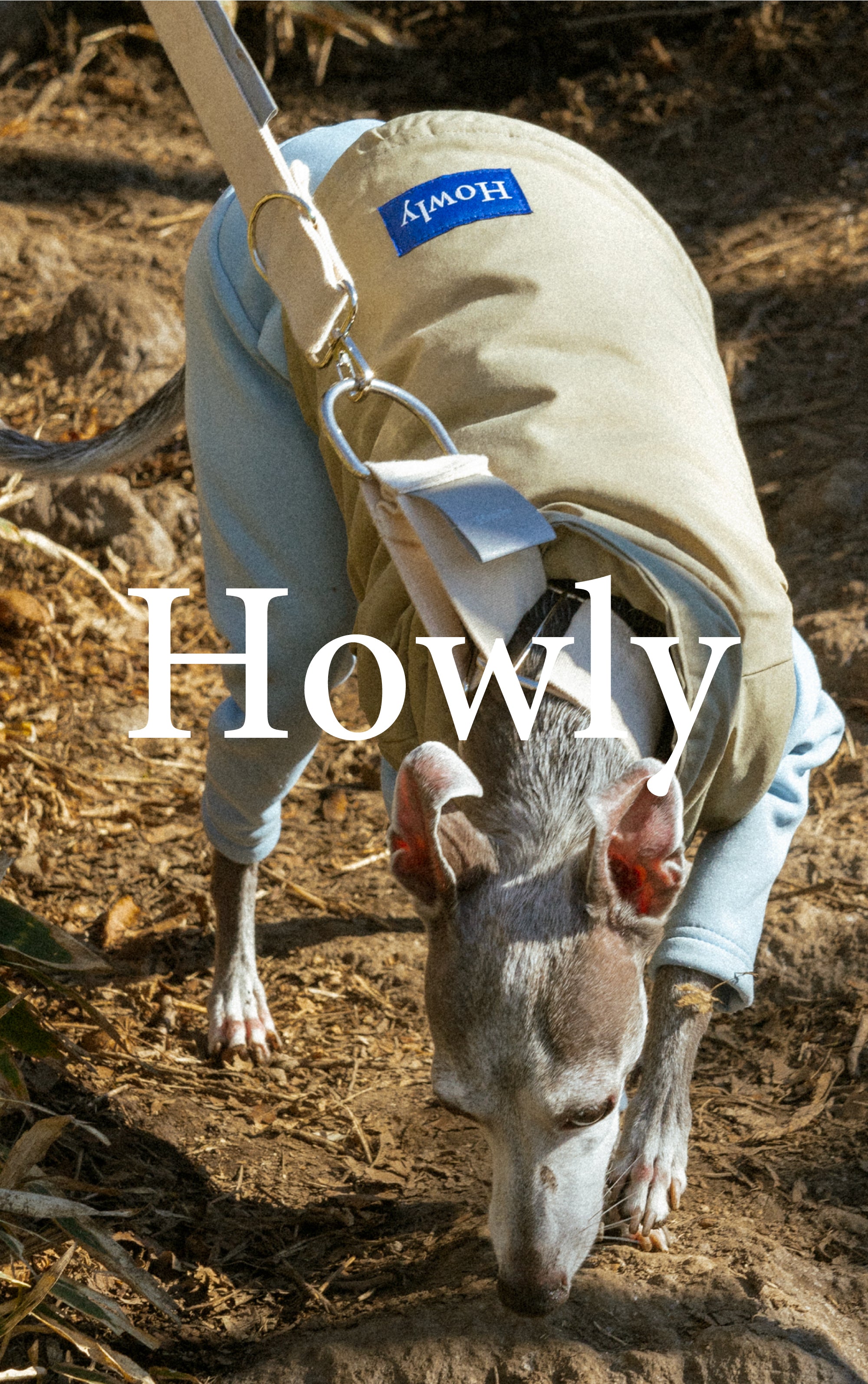 Howly Official Online Shop