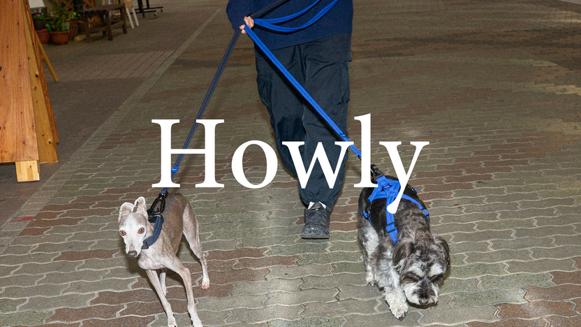 Howly