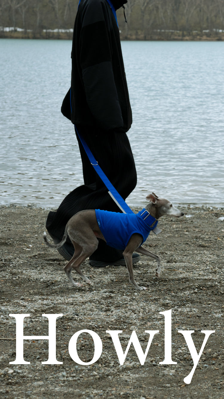 Howly Official Online Shop