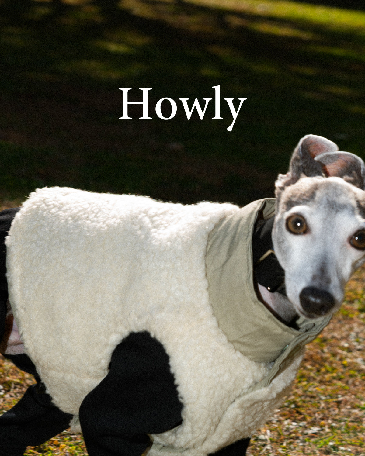 Howly Official Online Shop