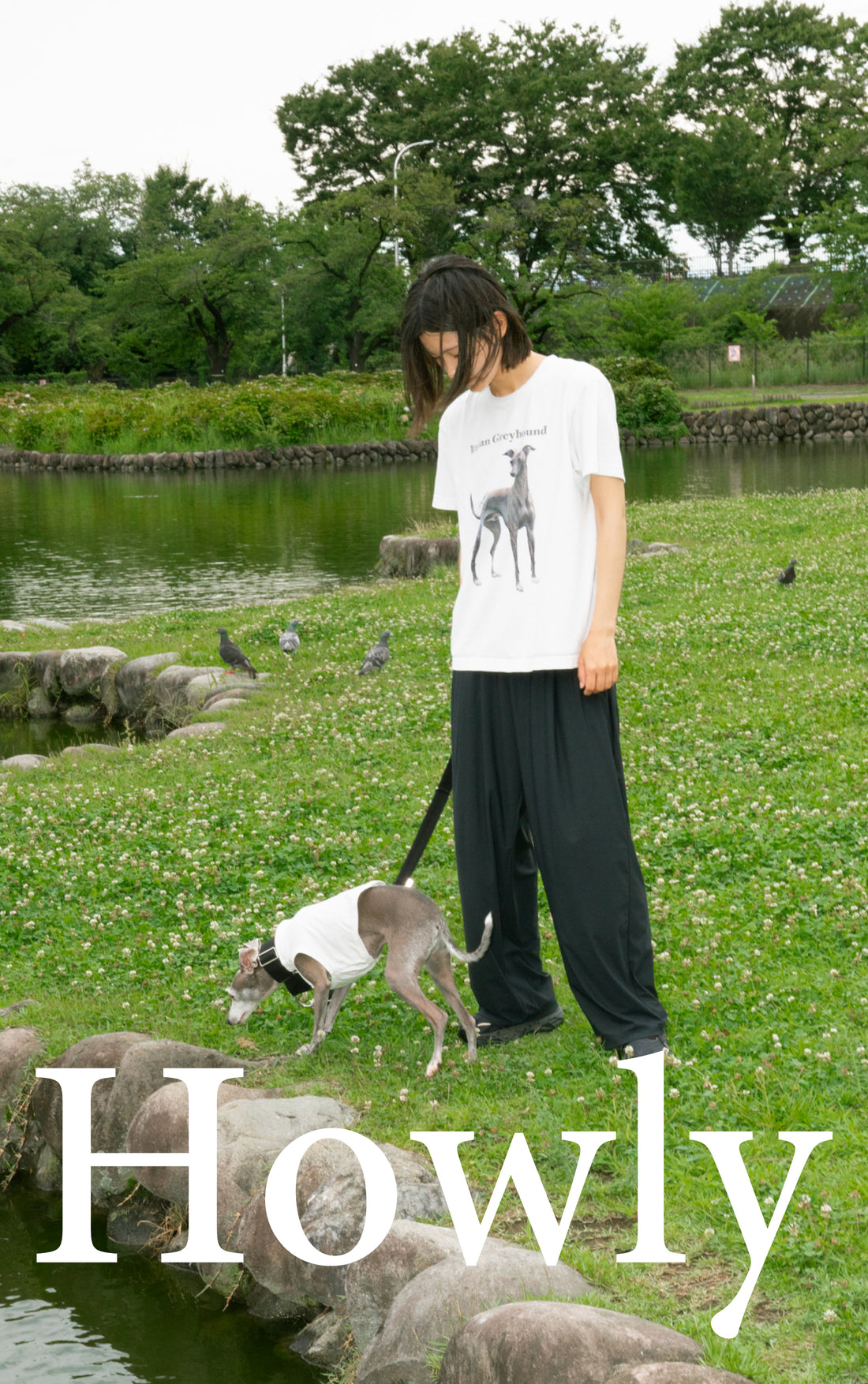 Howly Official Online Shop