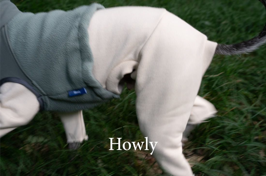 Howly Official Online Shop